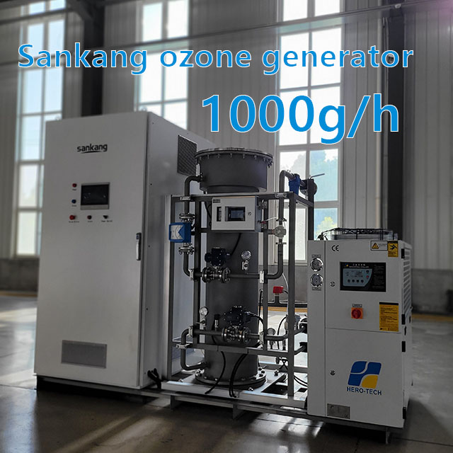 1000g/h Ozone Generator
